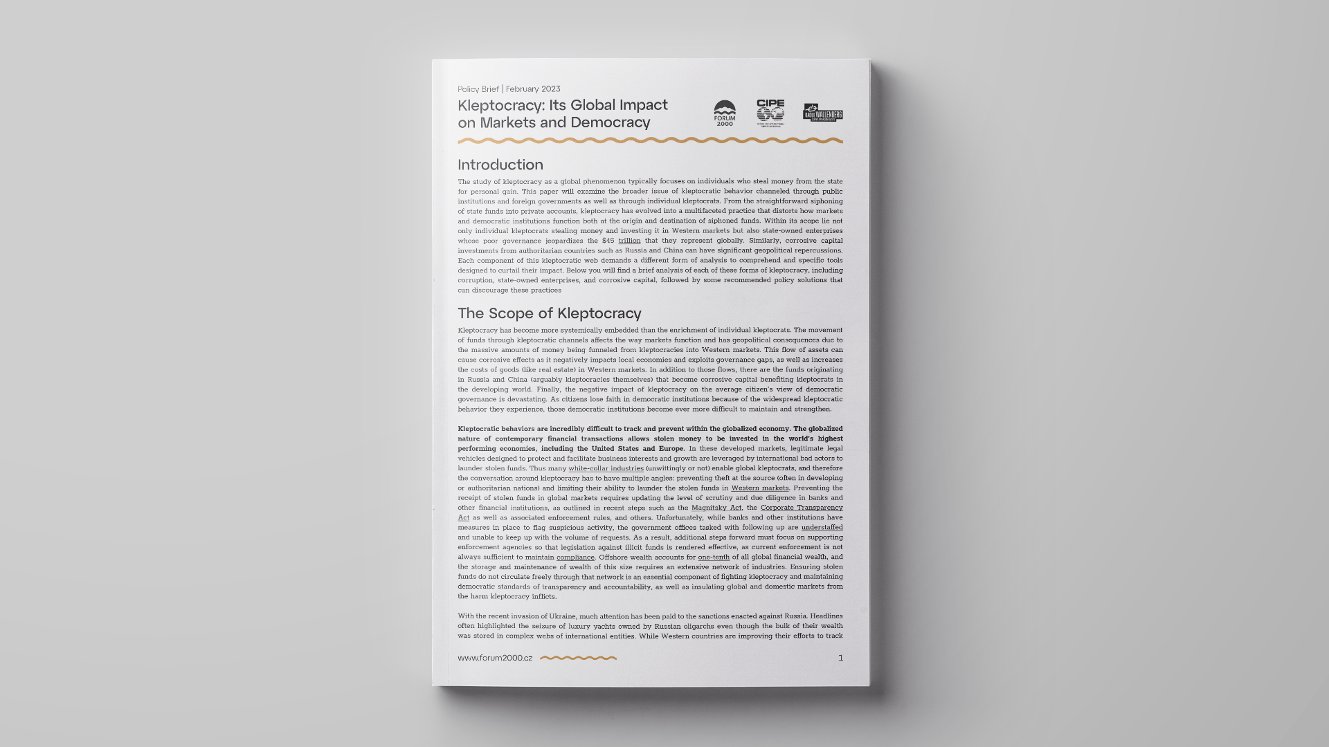 Kleptocracy: Its Global Impact on Markets and Democracy | Forum 2000